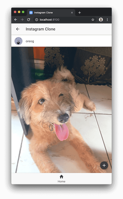 Build An Instagram Clone With Ionic Part 3 Adding Data Dynamically And Enabling Realtime 4523